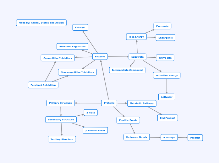 General Metabolism Concept Map - Concept Map